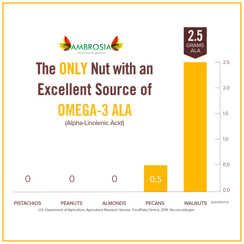 Walnut Inshell 500g | Premium Jumbo Size – Ambrosia Nuts